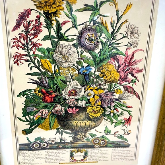 robert furber | Art | Vintage Robert Furber Flowers Of September Floral ...
